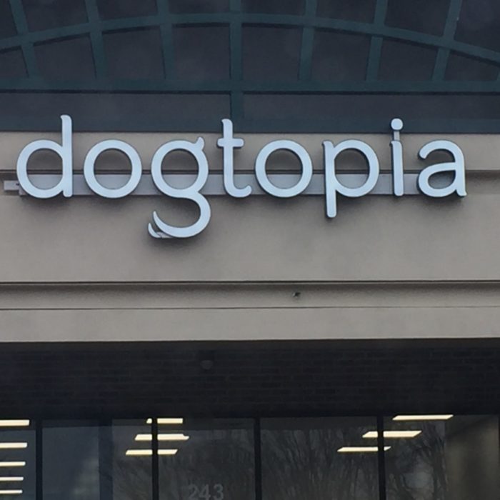 Channel Letters | Custom Signs, Wraps, and Graphics in Raleigh, NC